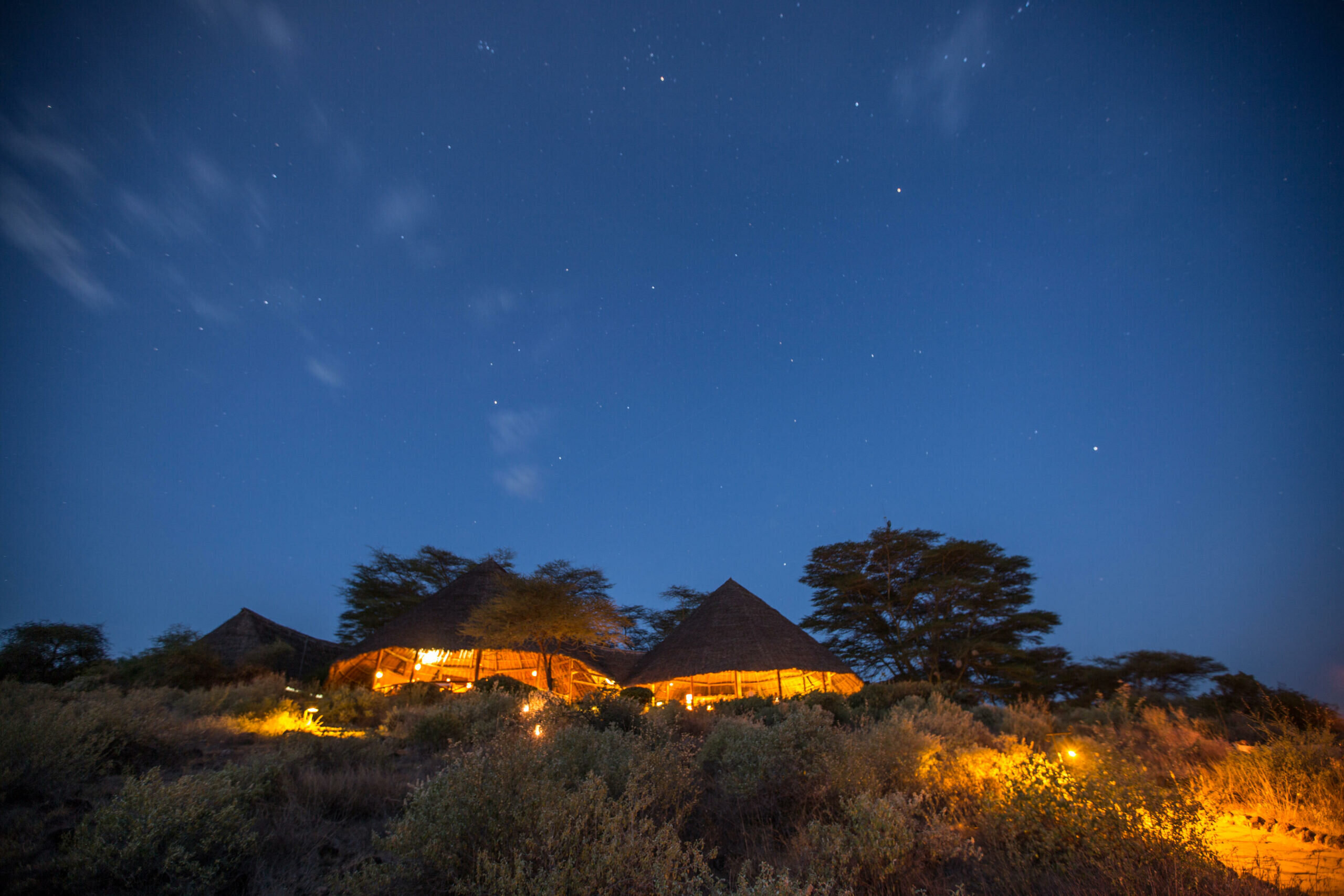 Elewana Tortilis Camp Amboseli - Coral Tree - Unique Family Safaris