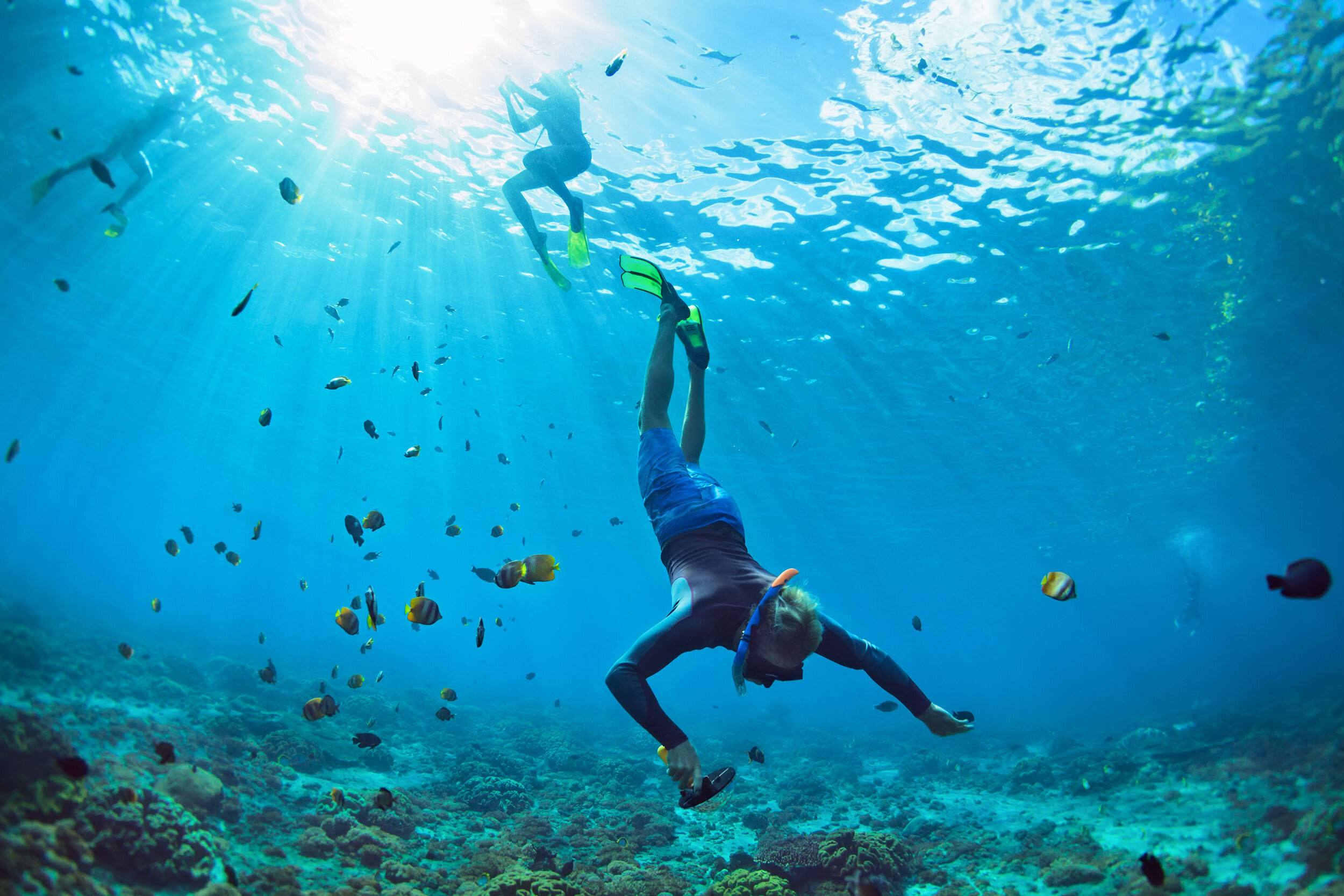 Snorkeling and SCUBA Diving - Coral Tree - Unique Family Safaris