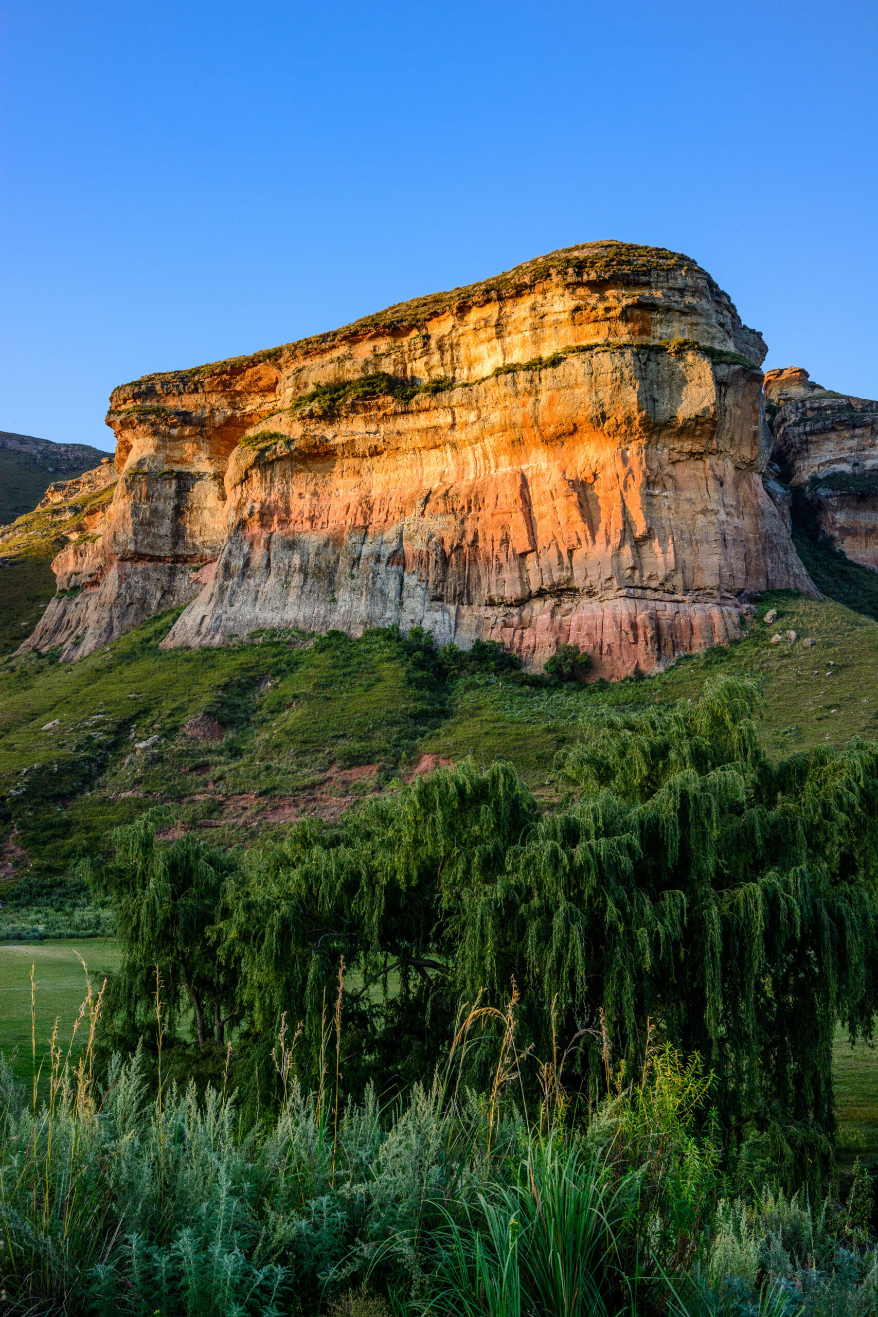 Drakensberg Hiking Tour | Coral Tree - Unique Family Safaris