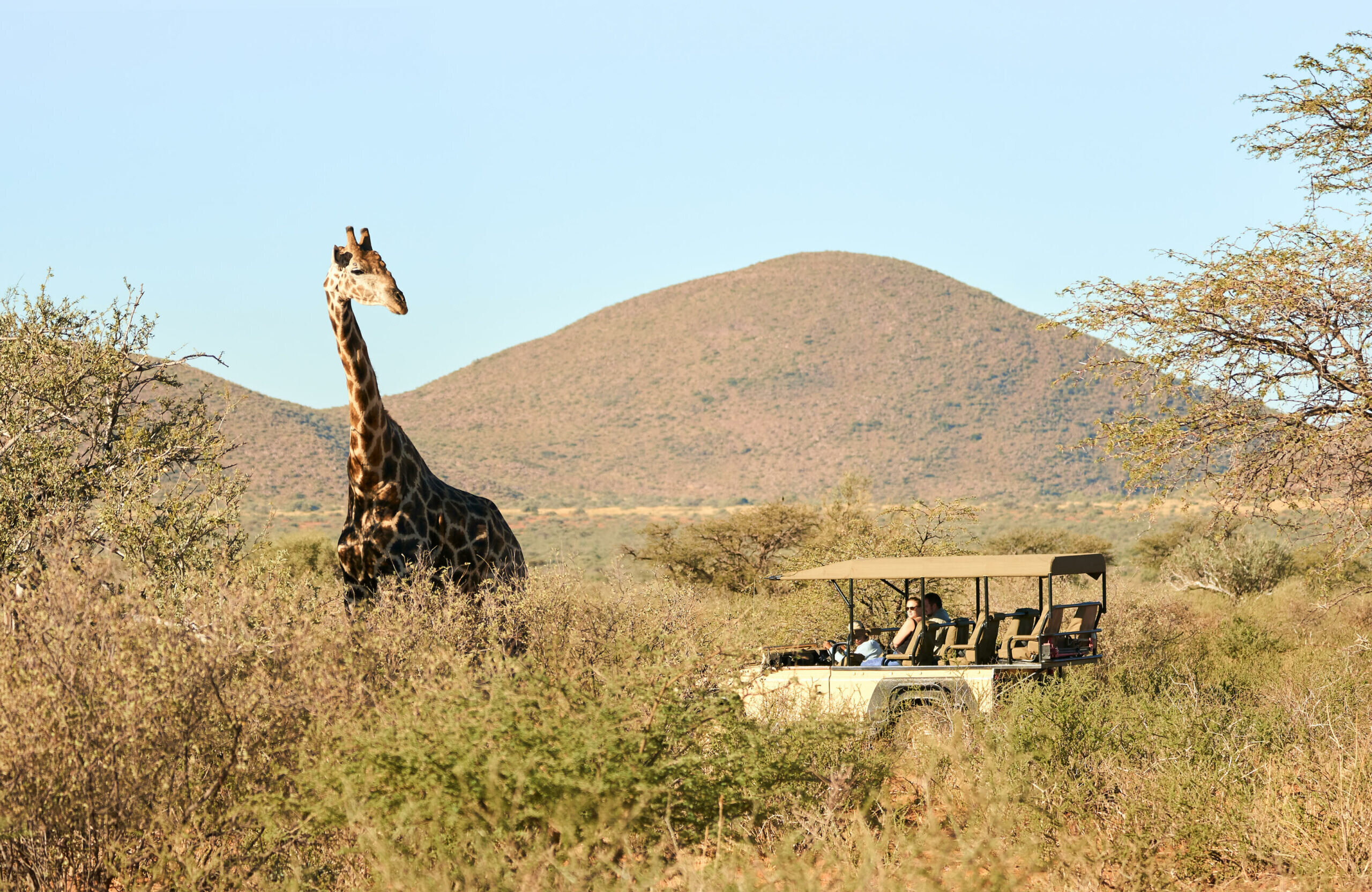 When Is the Best Time to Go on a Safari in South Africa? | Coral Tree ...