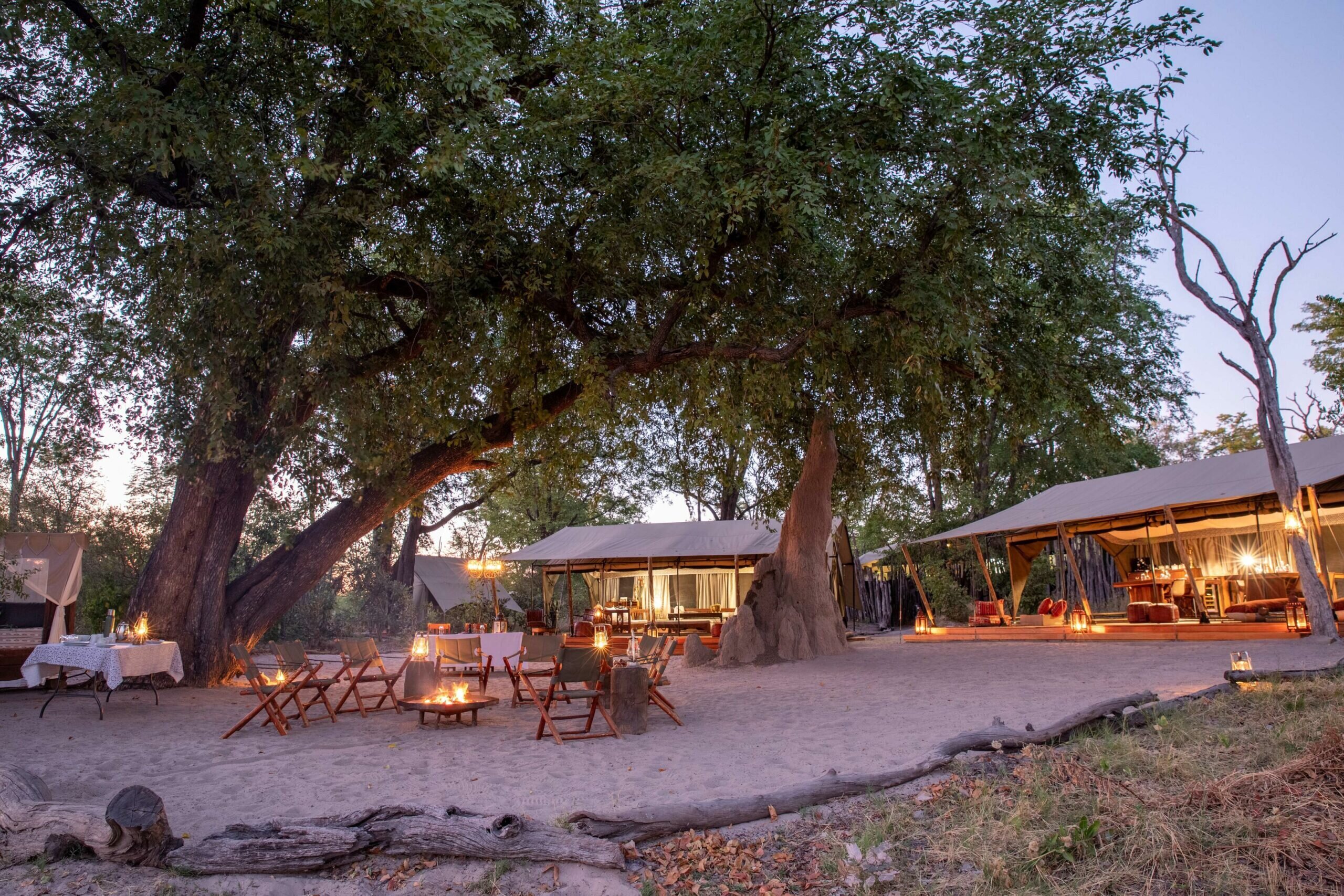 Selinda Explorers Camp - Coral Tree - Botswana Family Holidays
