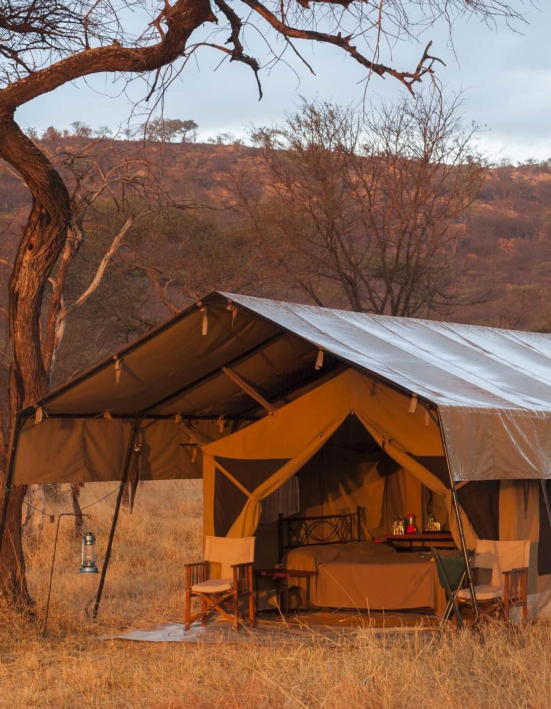 Serengeti Kati Kati Camp - Coral Tree - Unique Family Safaris