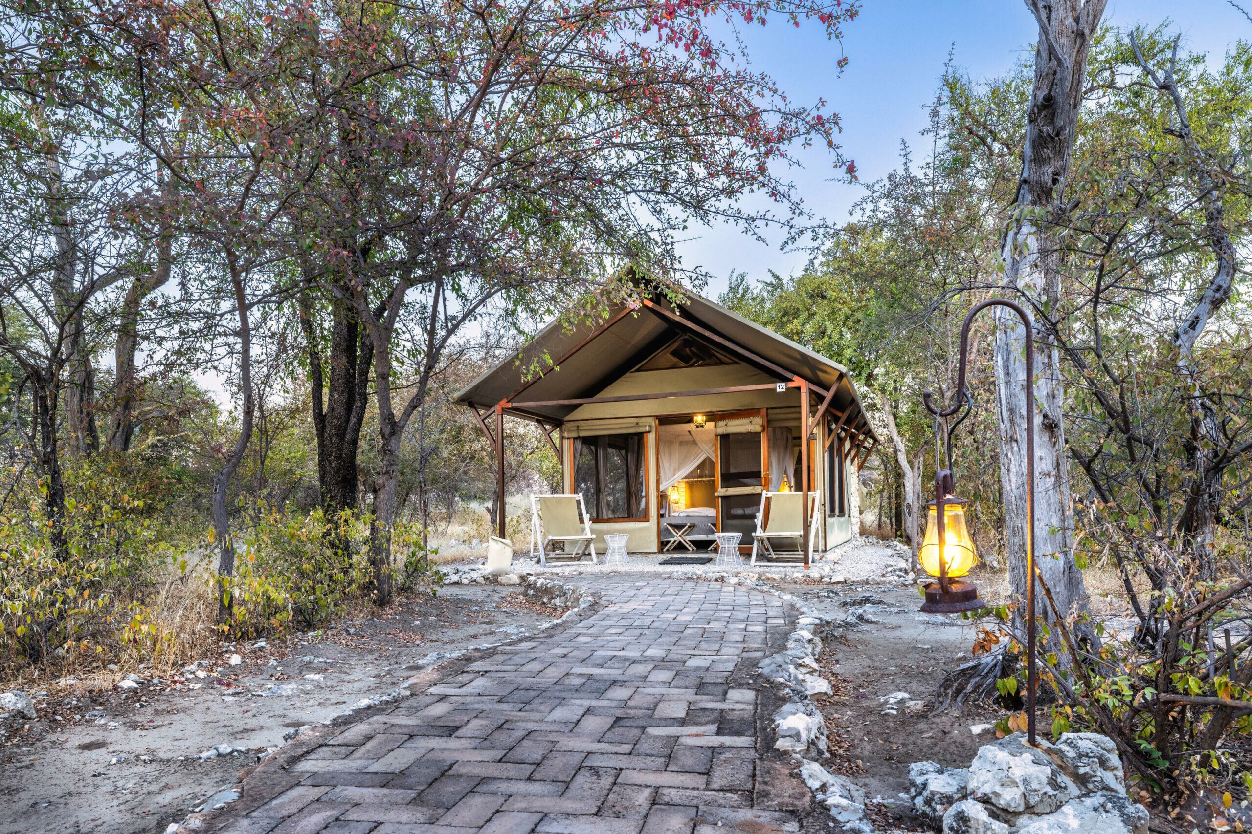 Mushara Bush Camp - Coral Tree - Namibia Family Holidays Destinations