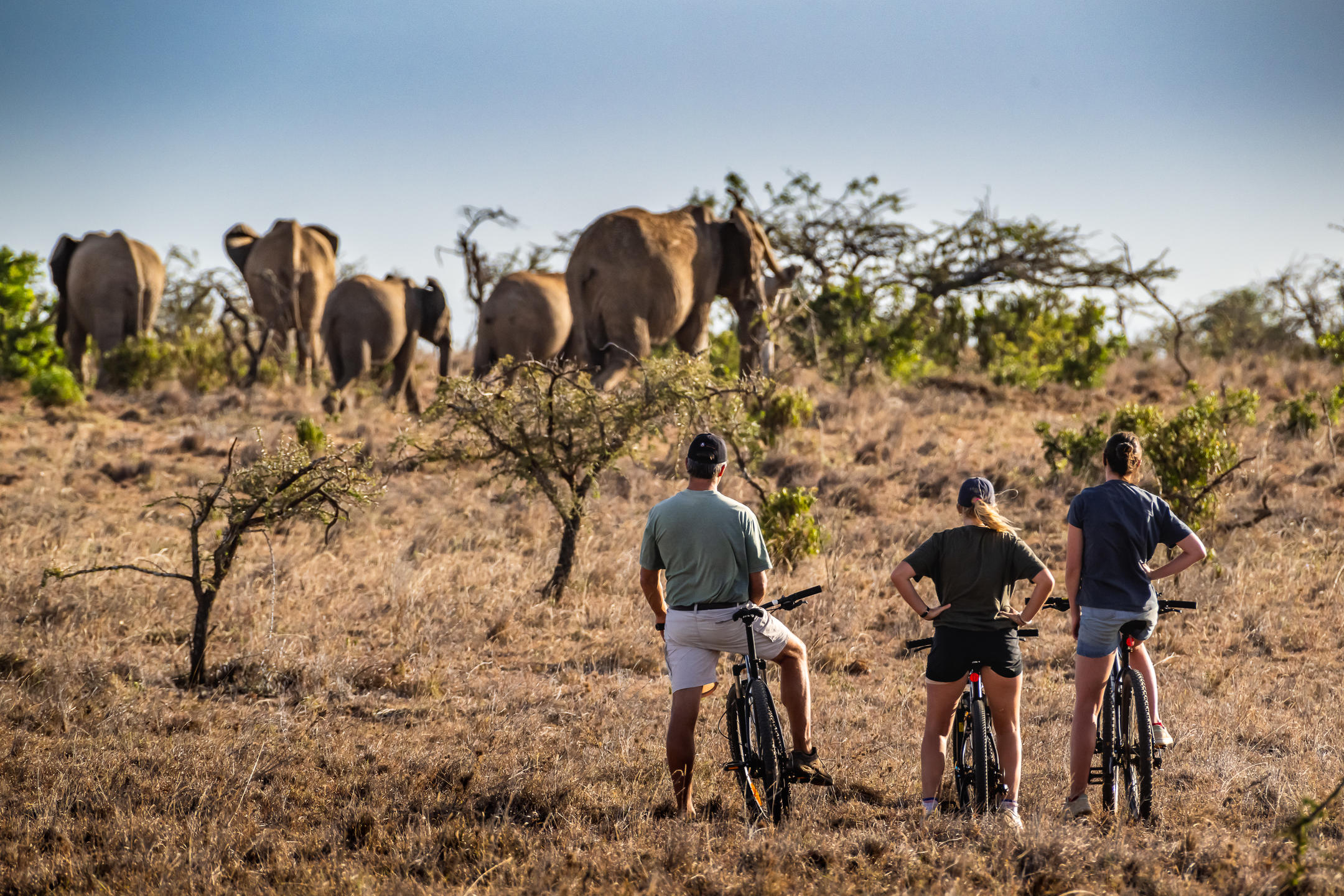 Sosian Lodge - Coral Tree - Kenya Family Safaris