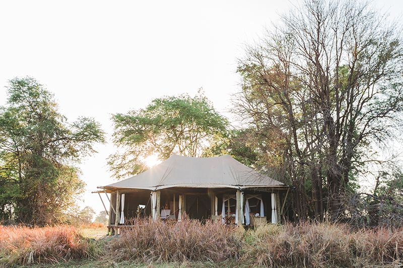 Musekese Camp - Coral Tree - Zambia Family Safaris