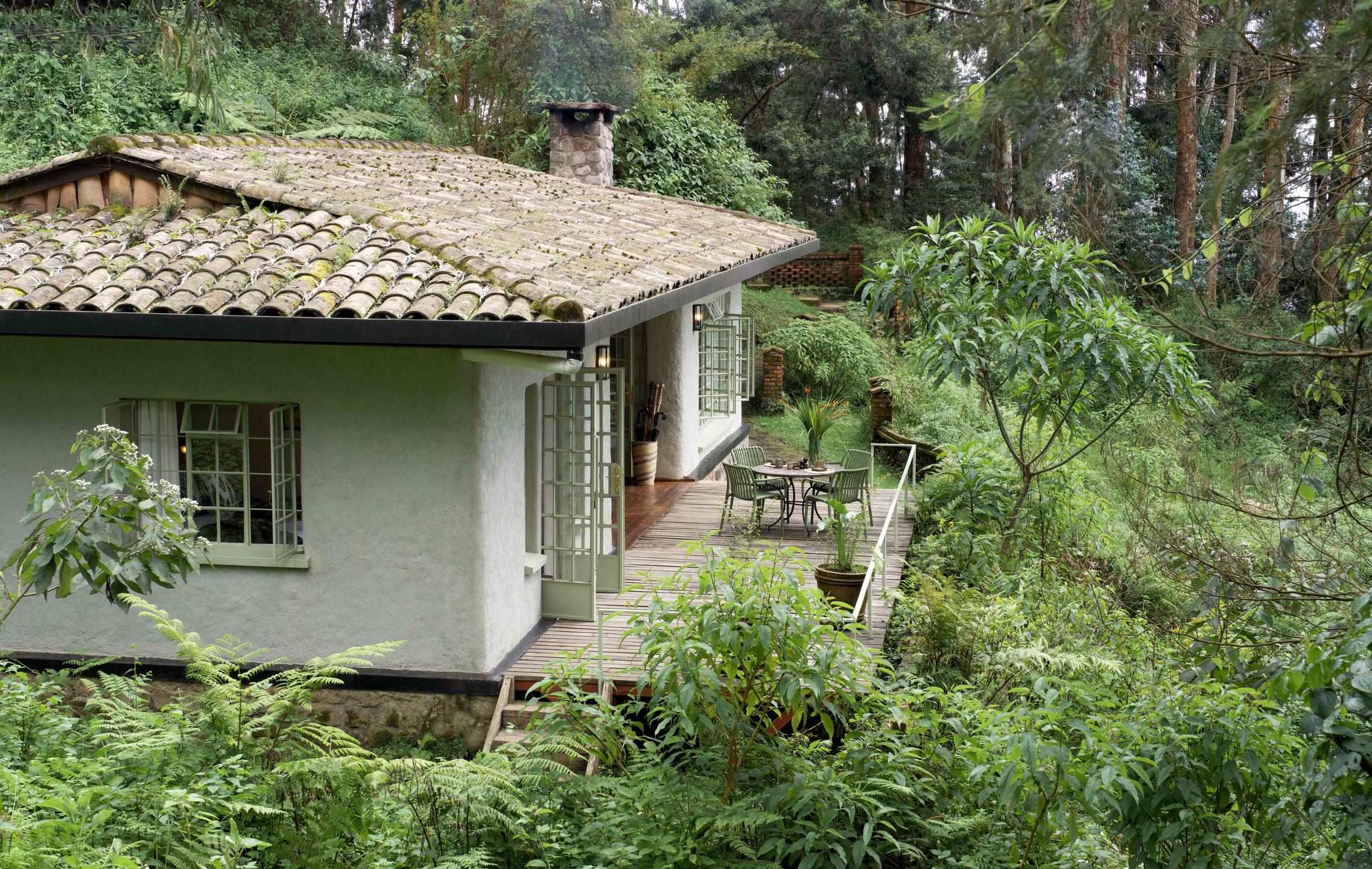Wilderness Sabyinyo - Coral Tree - Rwanda Family Safaris