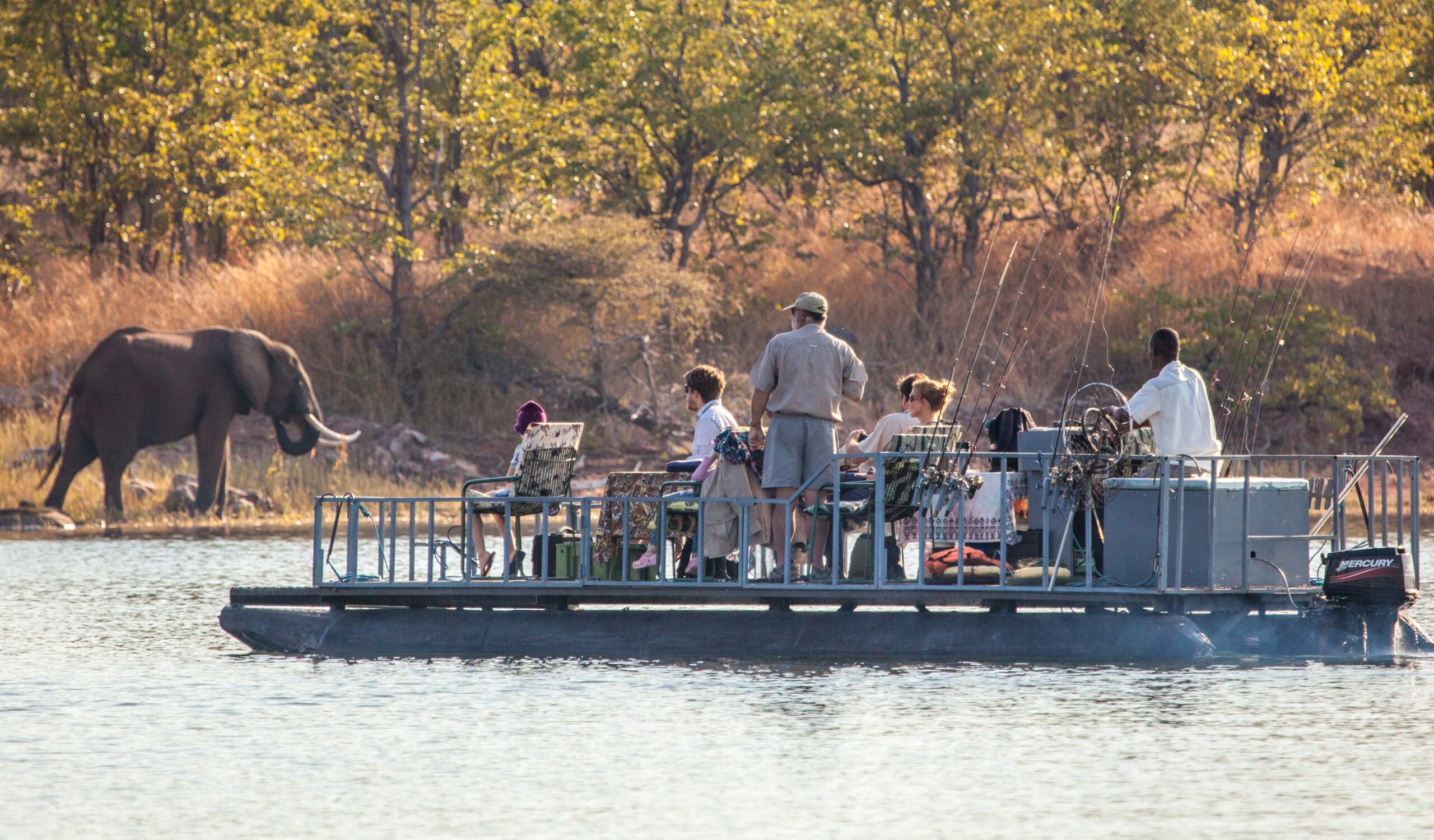 Musango Safari Camp - Coral Tree - Zimbabwe Family Safaris